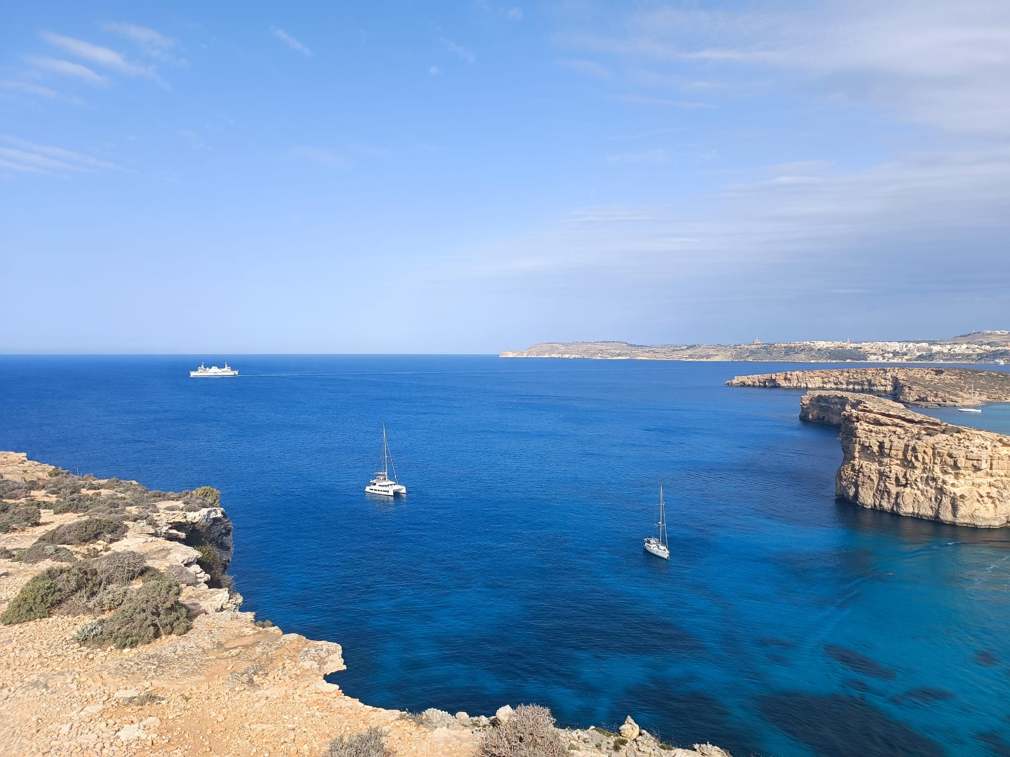 Home - The Snop House