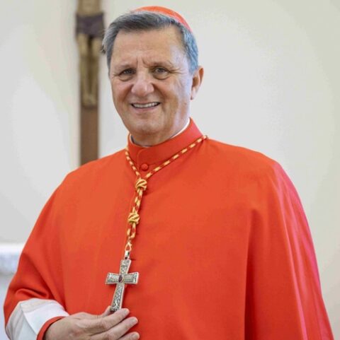 Is Your Last Name Maltese? Discover the Origins and Meanings of Maltese ...